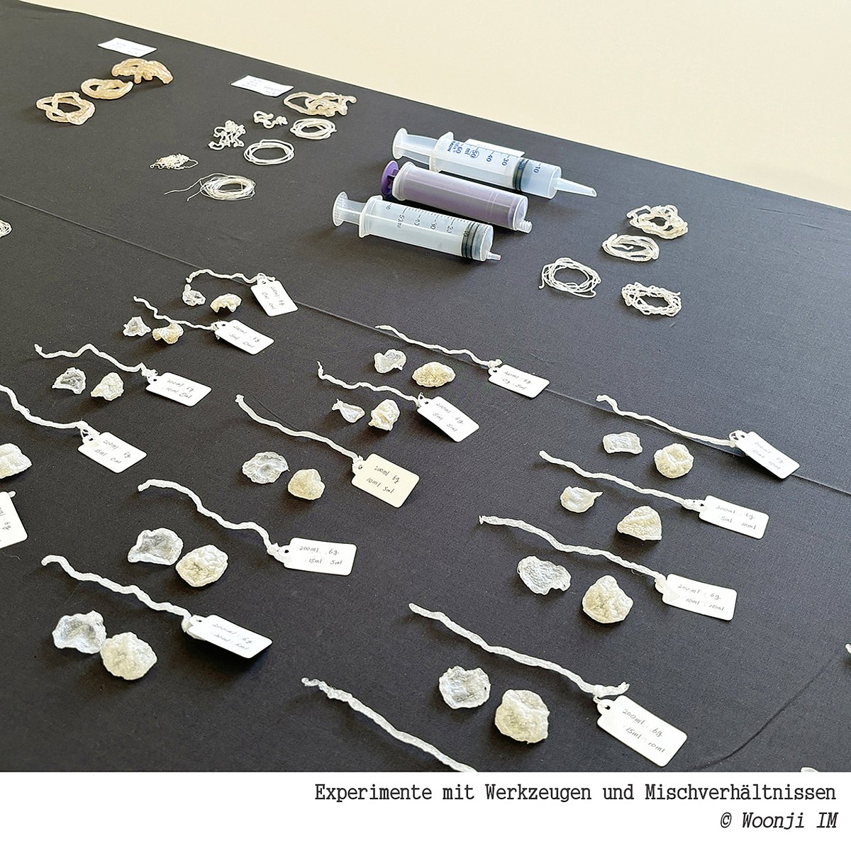 Kunstuniversität Linz: From Blueberry Peels