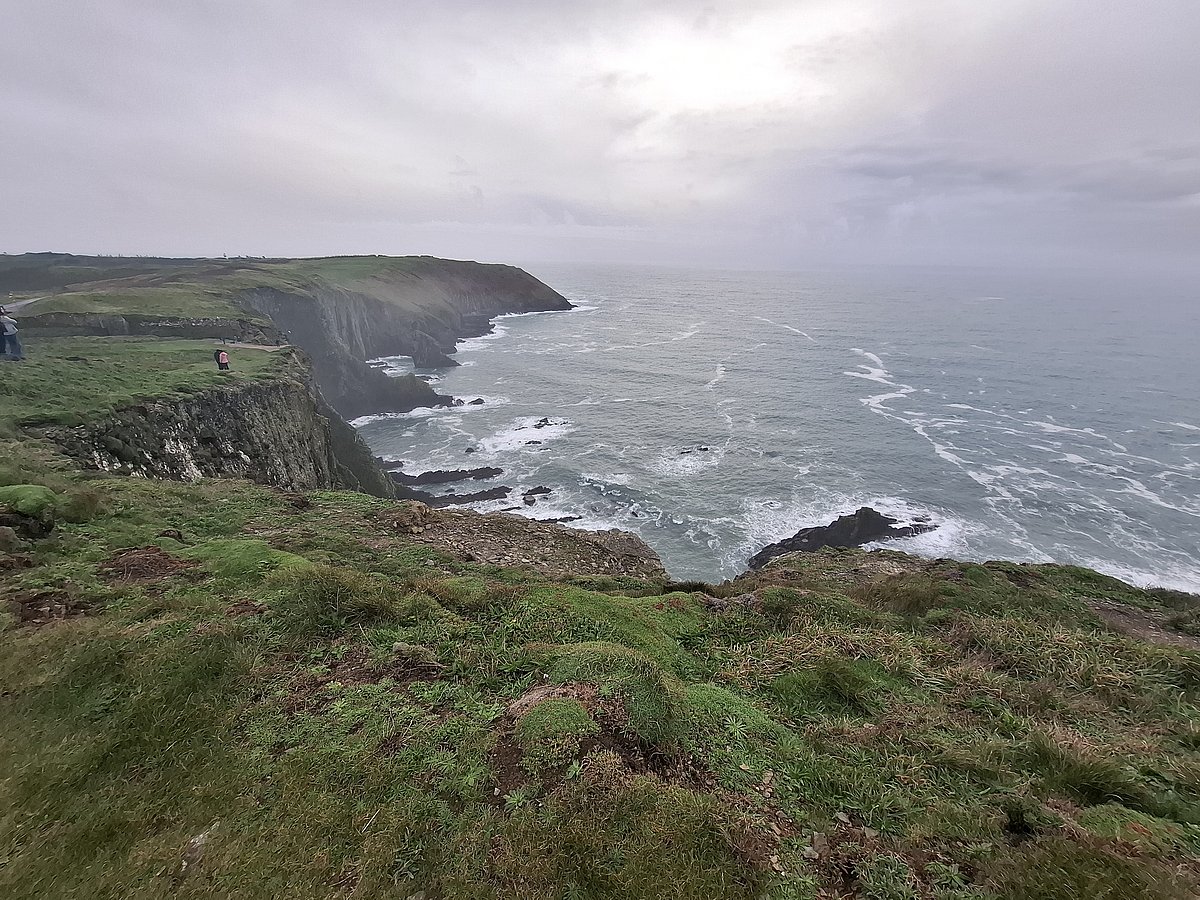 Kunstuniversität Linz: Margit Maria Anna Erber