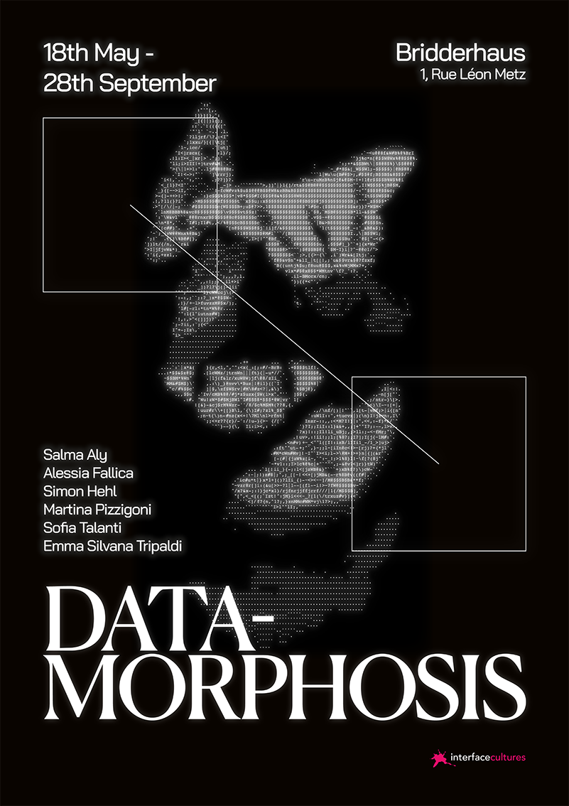 Kunstuniversität Linz: DATAMORPHOSIS